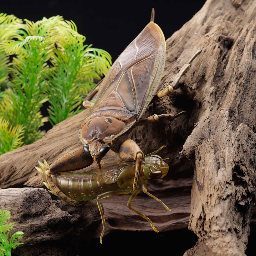 Kaiyodo Revoltech Revogeo RG005 Giant Water Bug Action Figure – Lavits ...