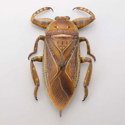 Kaiyodo Revoltech Revogeo RG005 Giant Water Bug Action Figure – Lavits ...