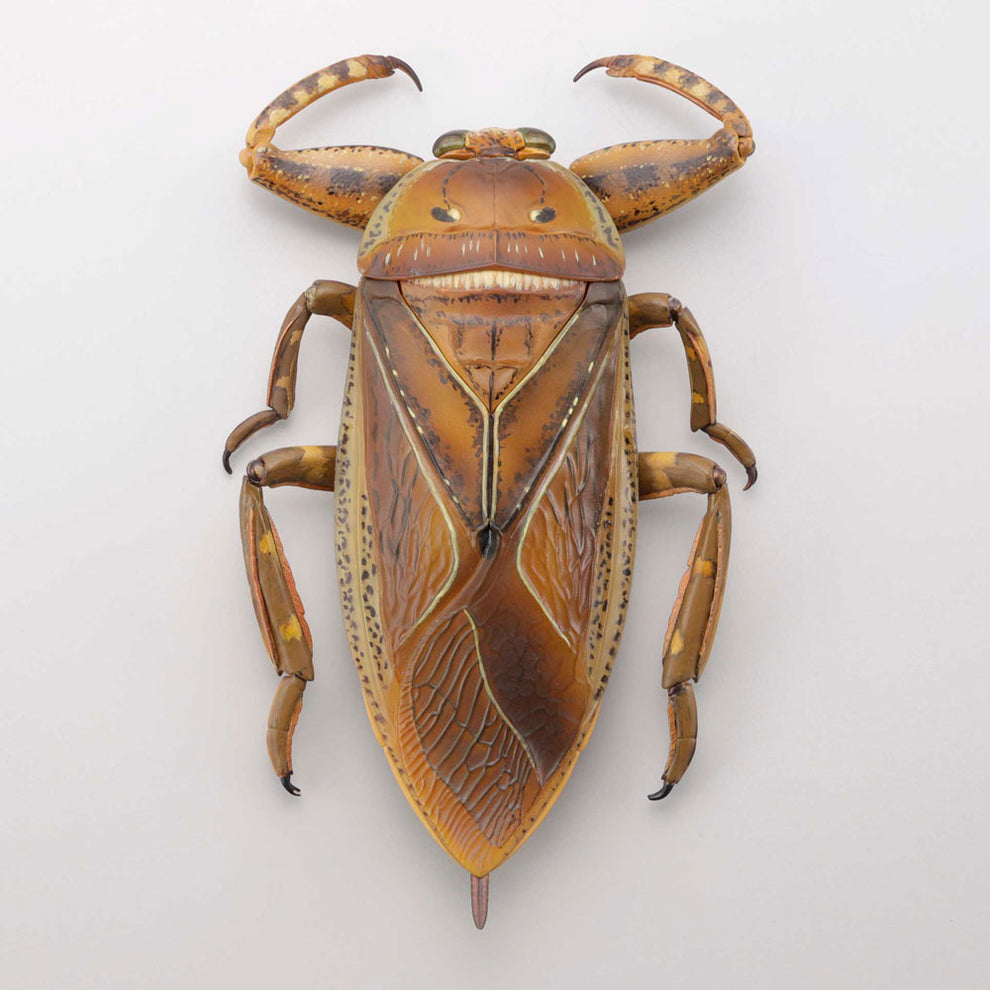 Kaiyodo Revoltech Revogeo RG005 Giant Water Bug Action Figure – Lavits ...