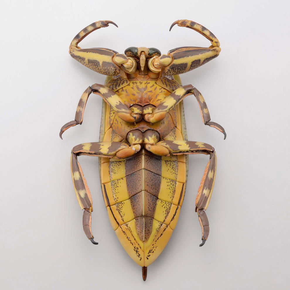 Kaiyodo Revoltech Revogeo RG005 Giant Water Bug Action Figure – Lavits ...